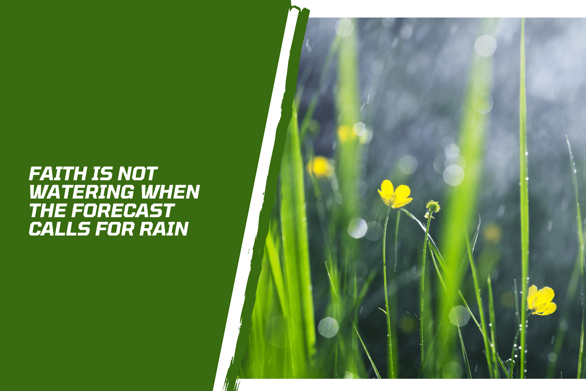 Faith Is Not Watering When The Forecast Calls For Rain | James Gray ...